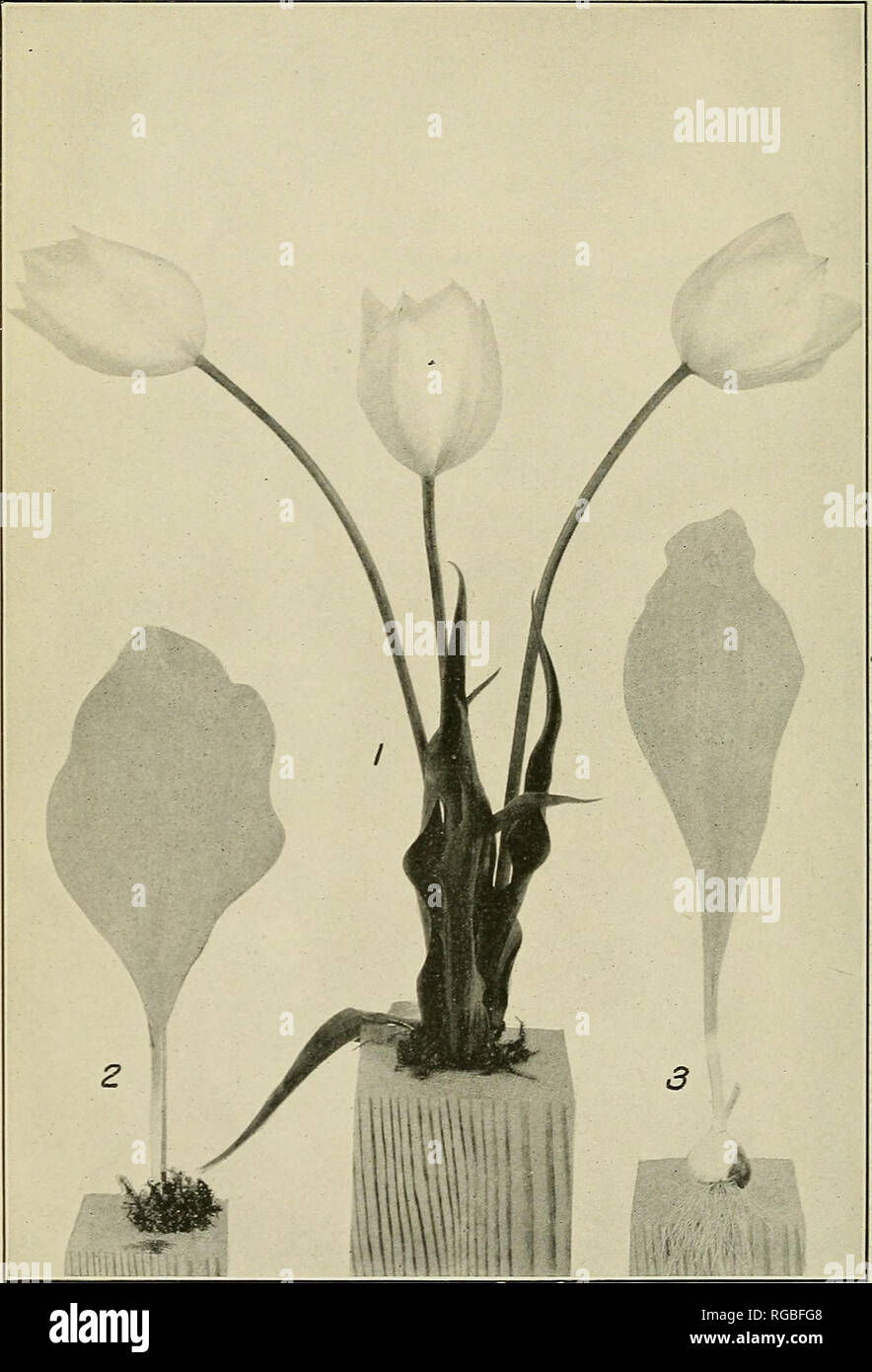 Parts of a bui hi-res stock photography and images - Alamy