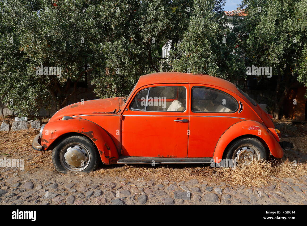 Moldy car hi-res stock photography and images - Alamy