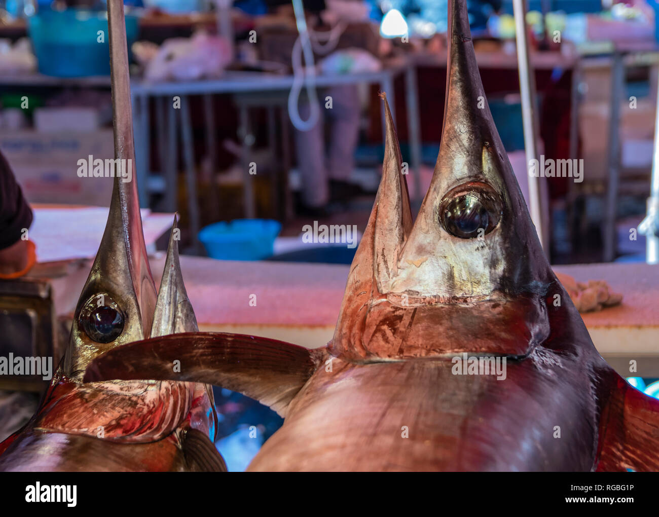 Heads of two swordfish displayed on a market Stock Photo - Alamy