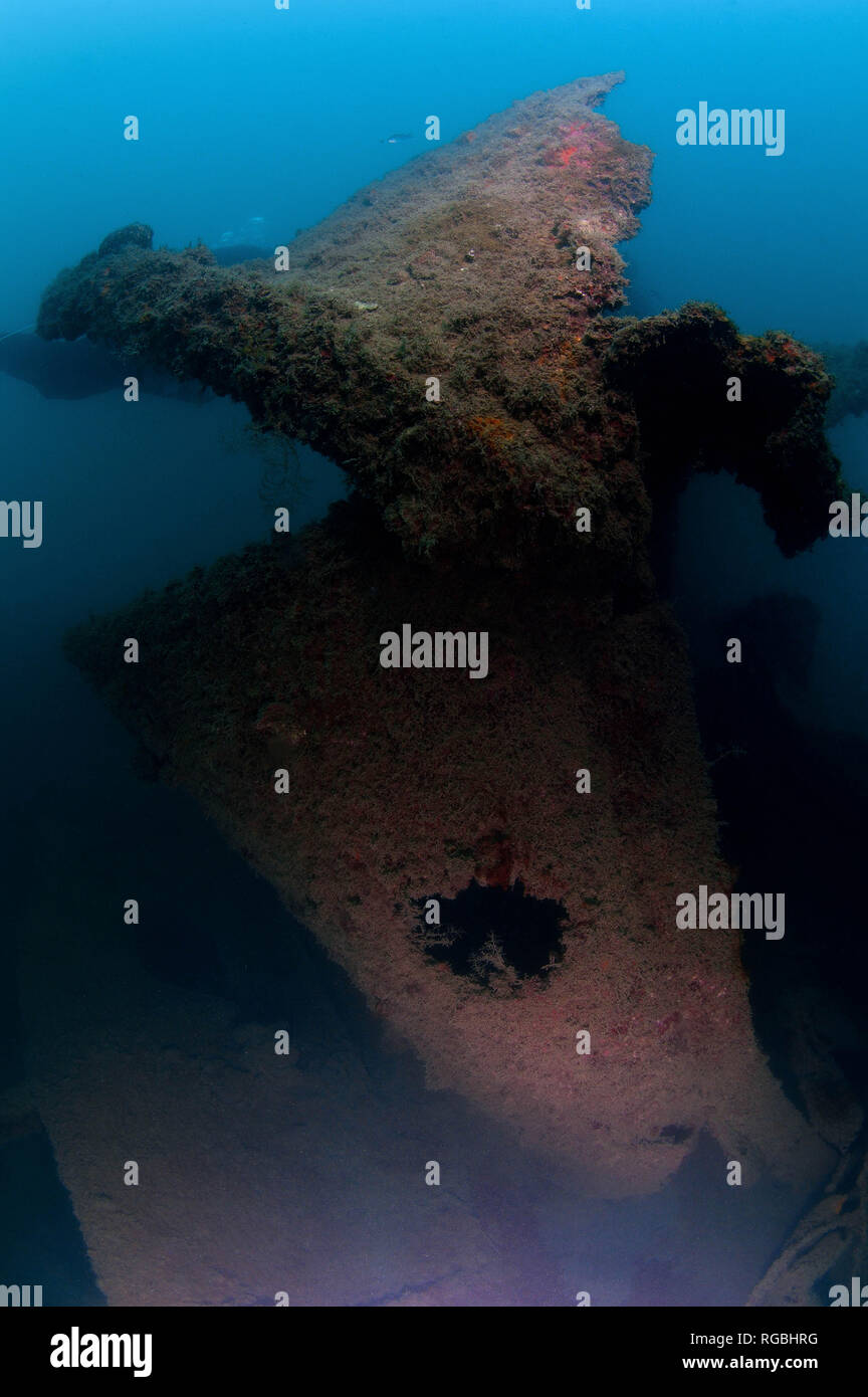 SS Margit Wreck in Malta Stock Photo - Alamy