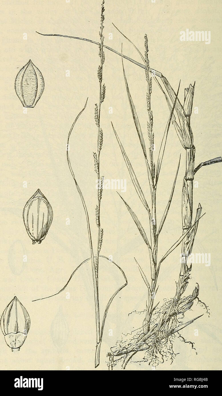 234 feet high hi-res stock photography and images - Alamy