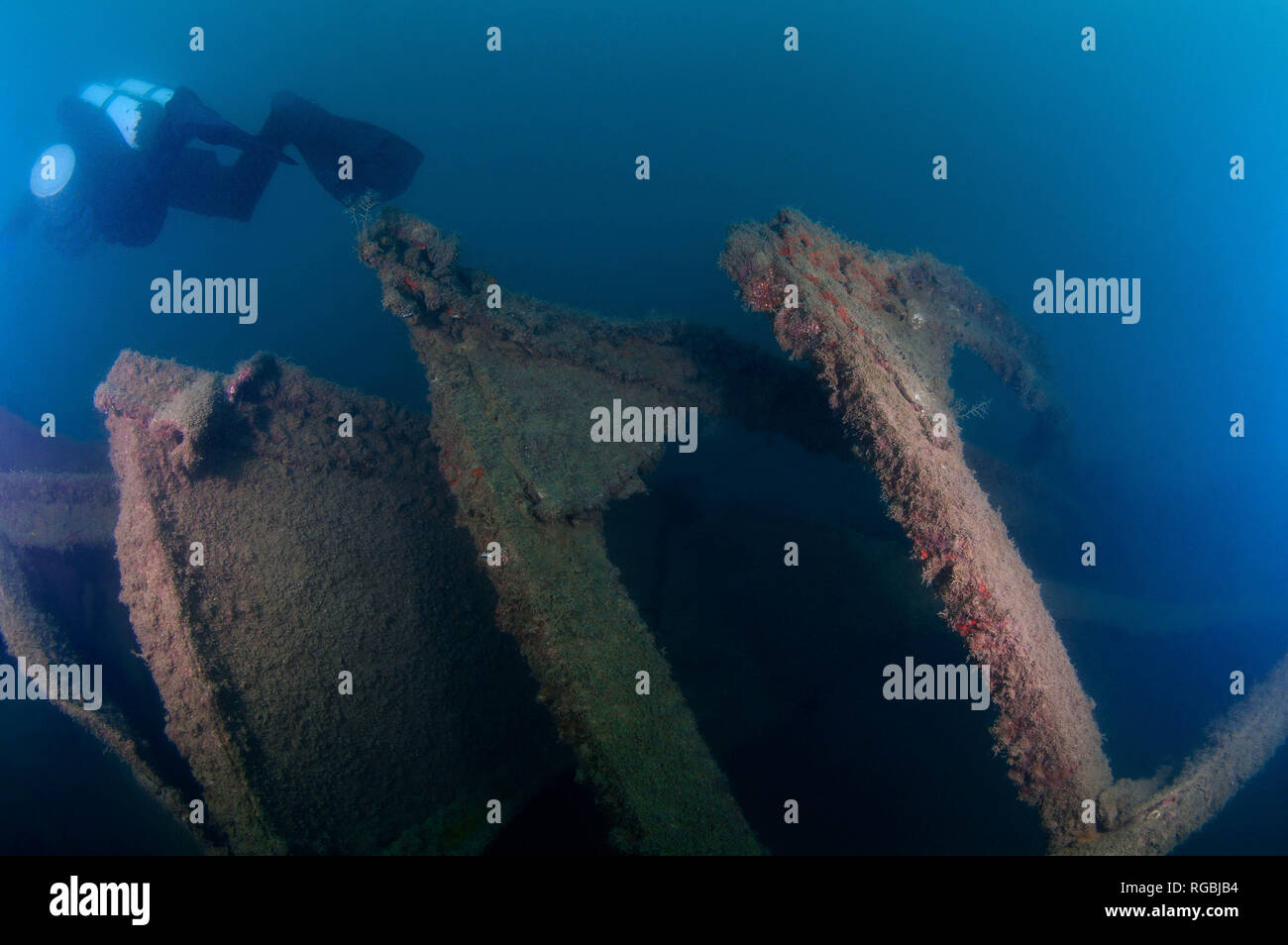 Ss malta hi-res stock photography and images - Alamy