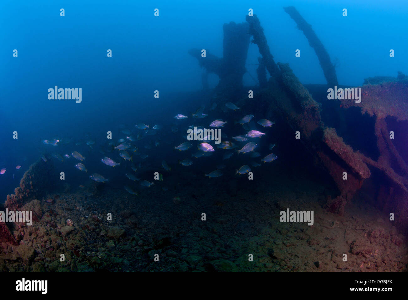 SS Margit Wreck in Malta Stock Photo - Alamy