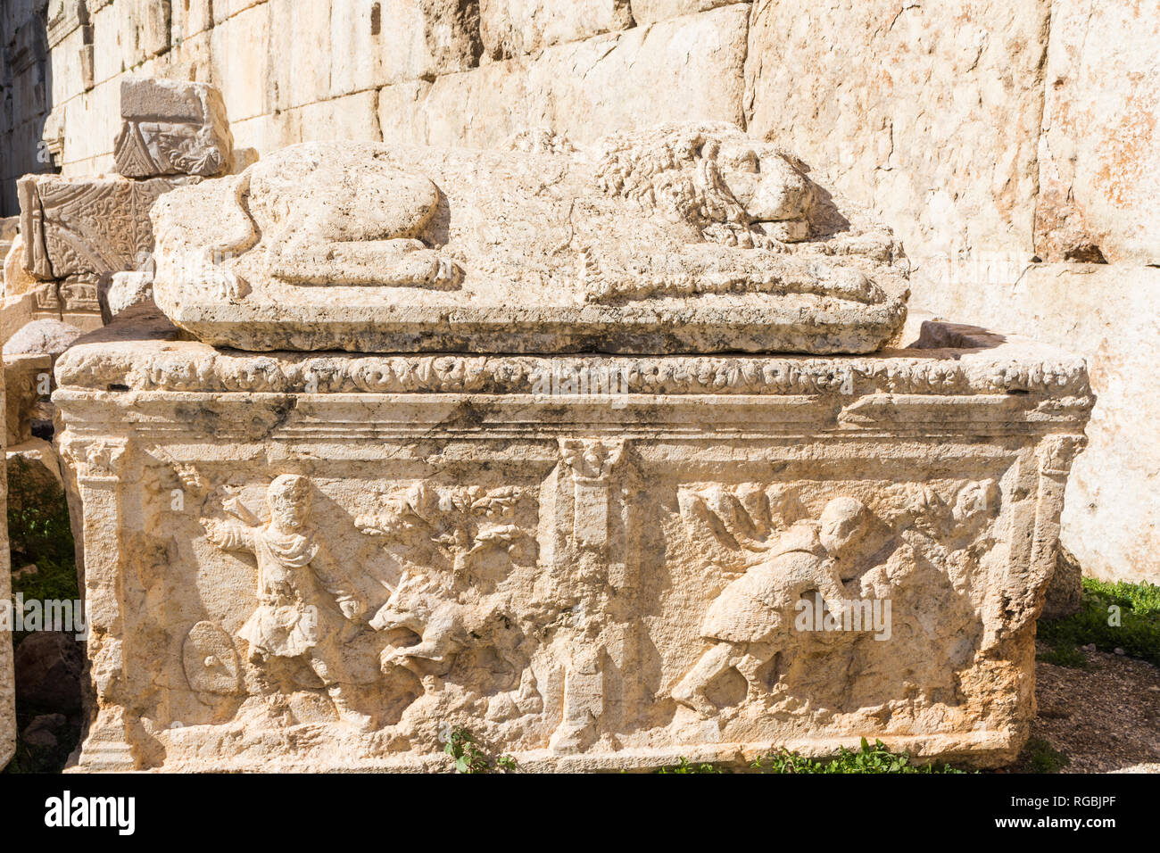 Ancient stone carving of a lion lying down, Heliopolis Roman ruins ...