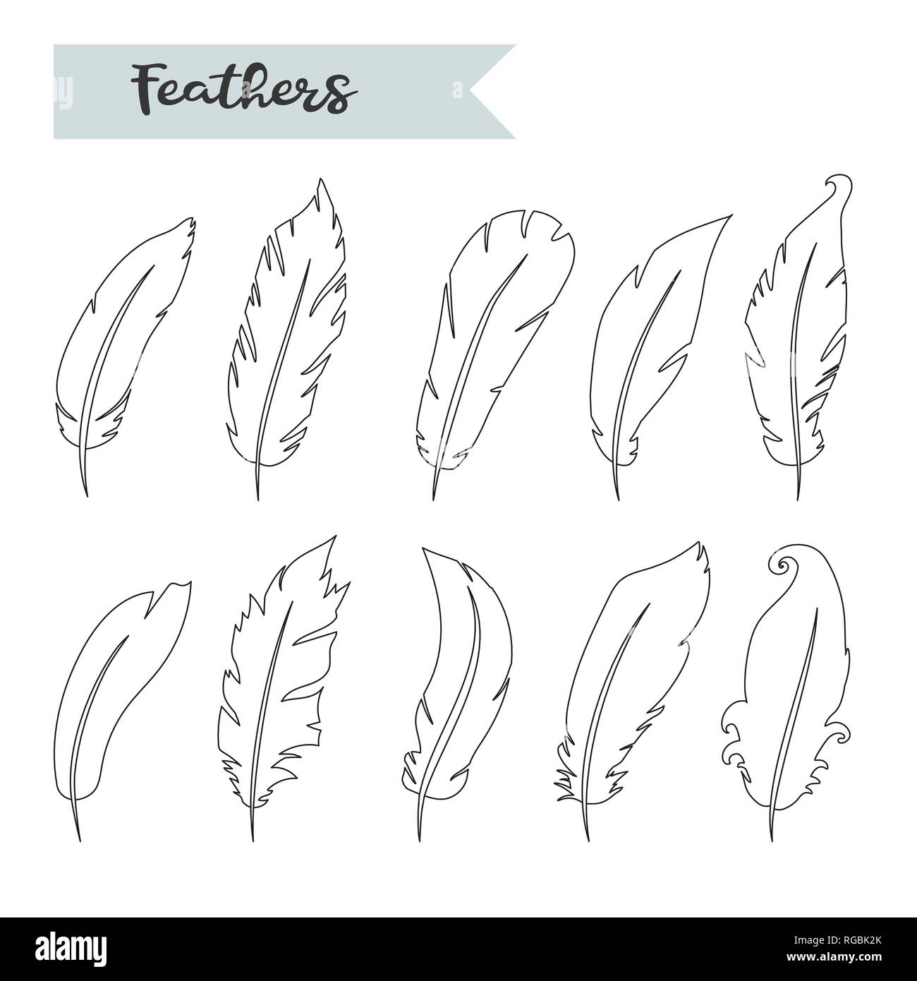 Vector feathers icon,sign,symbol, set, collection isolated vector Stock ...