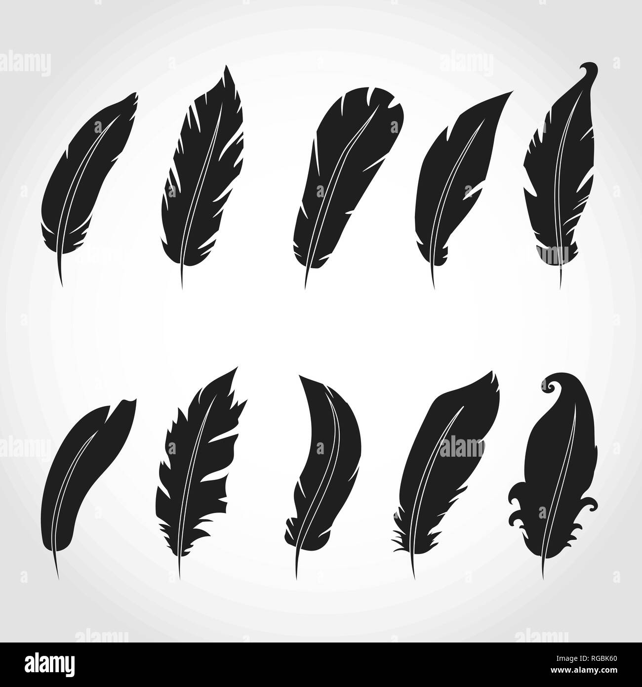Vector feathers icon,sign,symbol, set, collection isolated vector Stock ...