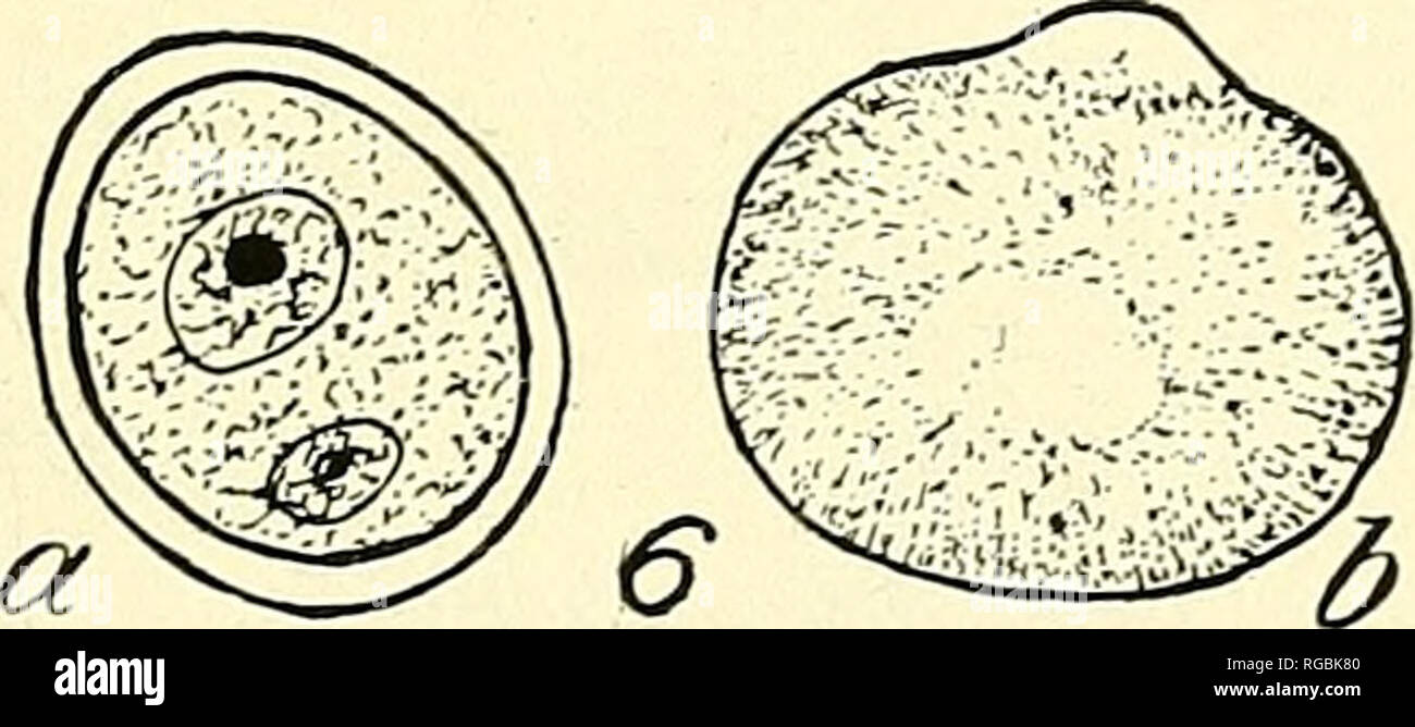. Bulletin of the U.S. Department of Agriculture. Agriculture ...