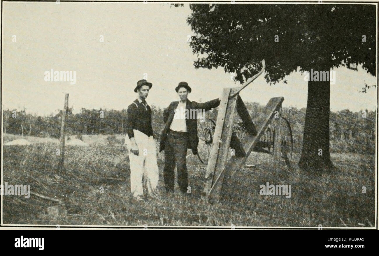Graded terraces hi-res stock photography and images - Alamy