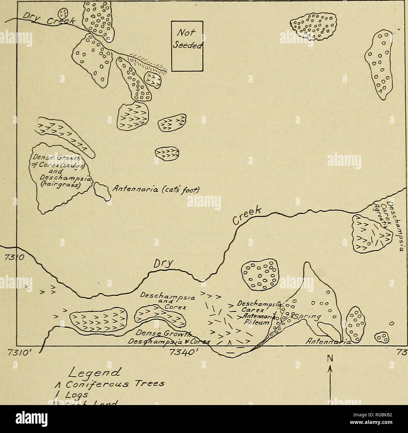 Alpine timothy grass hi-res stock photography and images - Alamy