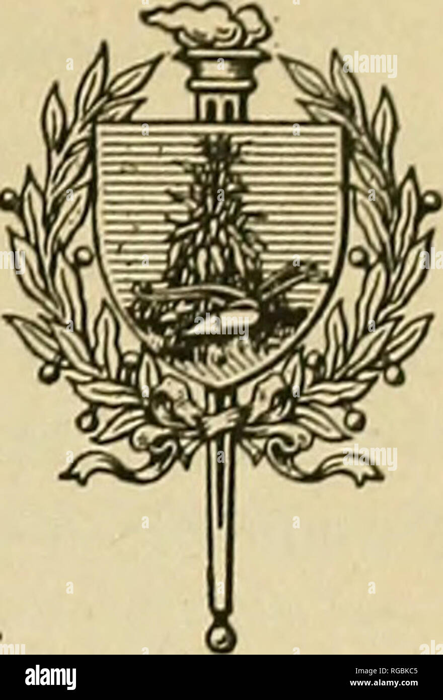 Overgrazed forest hi-res stock photography and images - Alamy