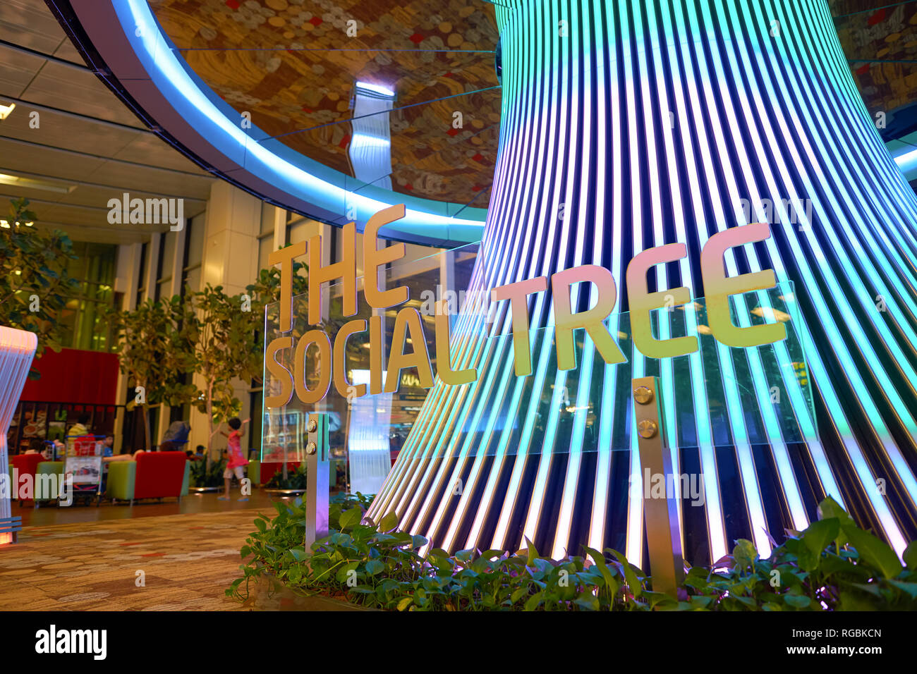 SINGAPORE - CIRCA AUGUST, 2016: the Social Tree at Singapore Changi ...