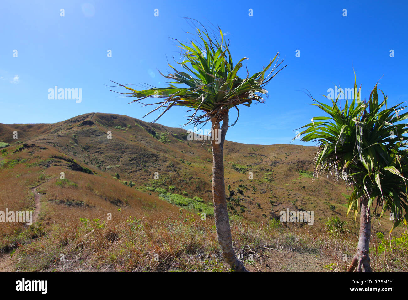 Blue lagoon resort nacula island hi-res stock photography and images ...