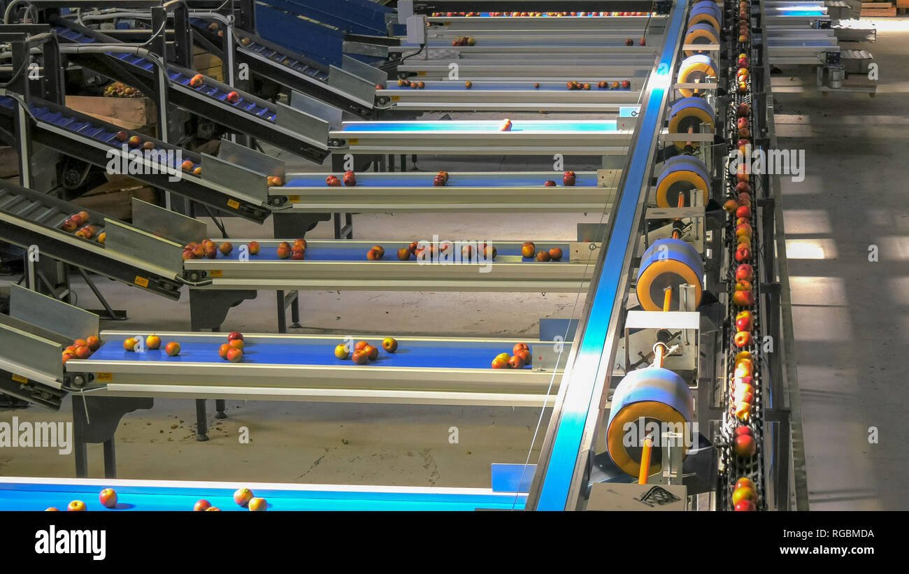 Food packing conveyor hi-res stock photography and images - Alamy