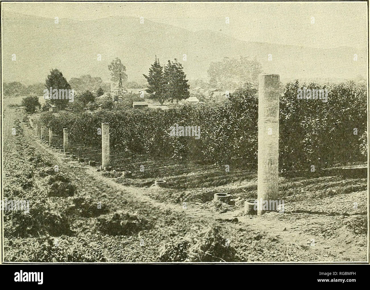 Water irrigation stand pipe in hi-res stock photography and images - Alamy