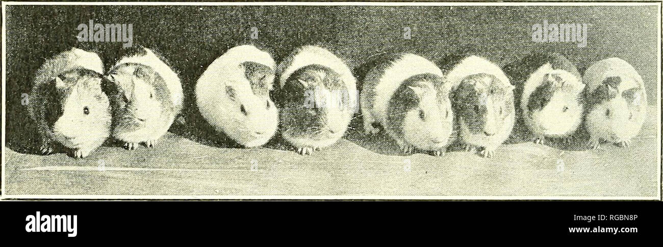 Extreme Differences High Resolution Stock Photography and Images - Alamy