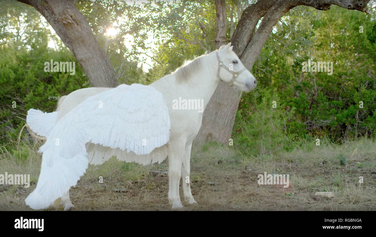 PEGASUS: PONY WITH A BROKEN WING, Pegasus, 2019. © Lionsgate Home ...