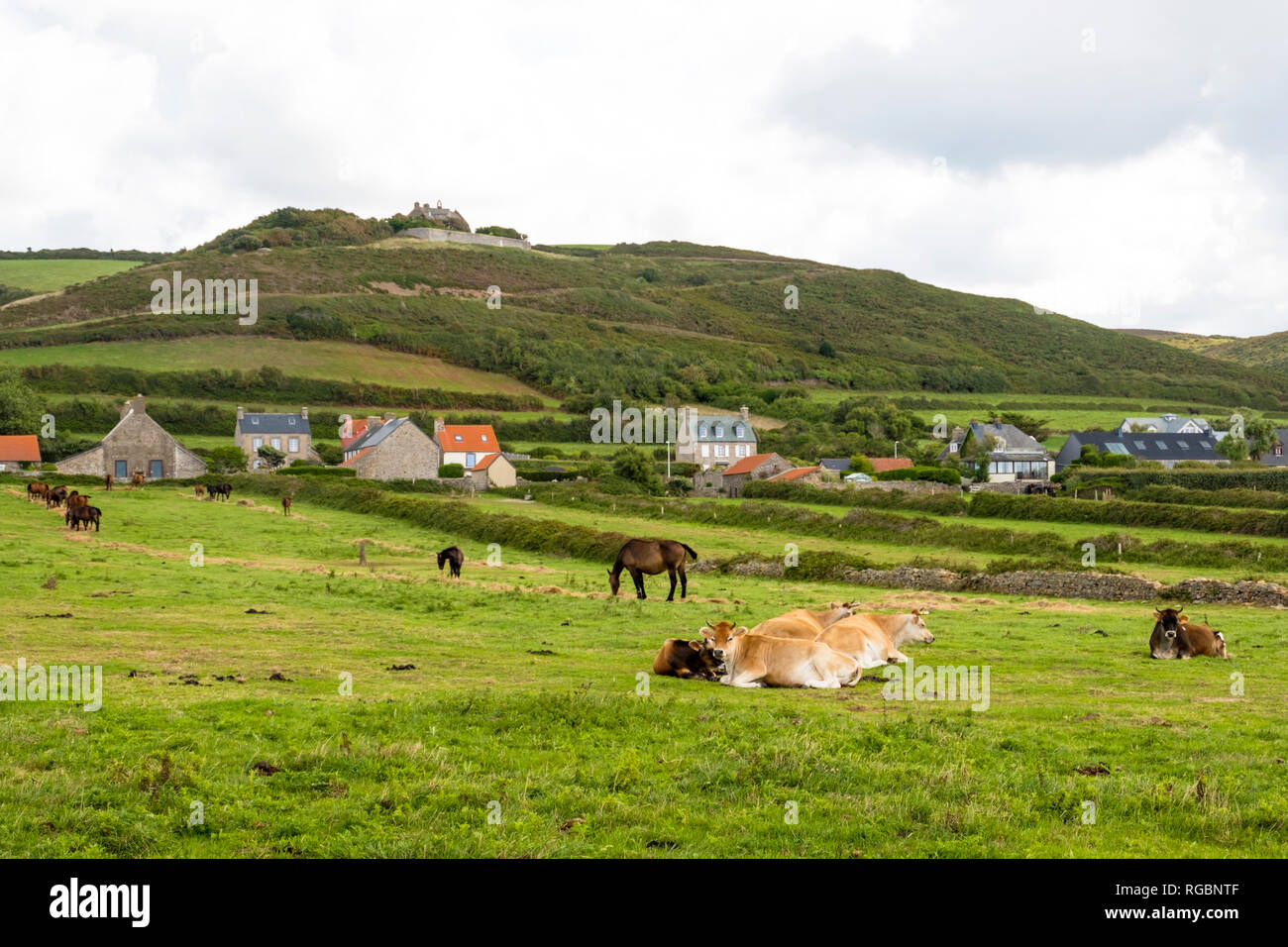 Animal normandy house hi-res stock photography and images - Alamy