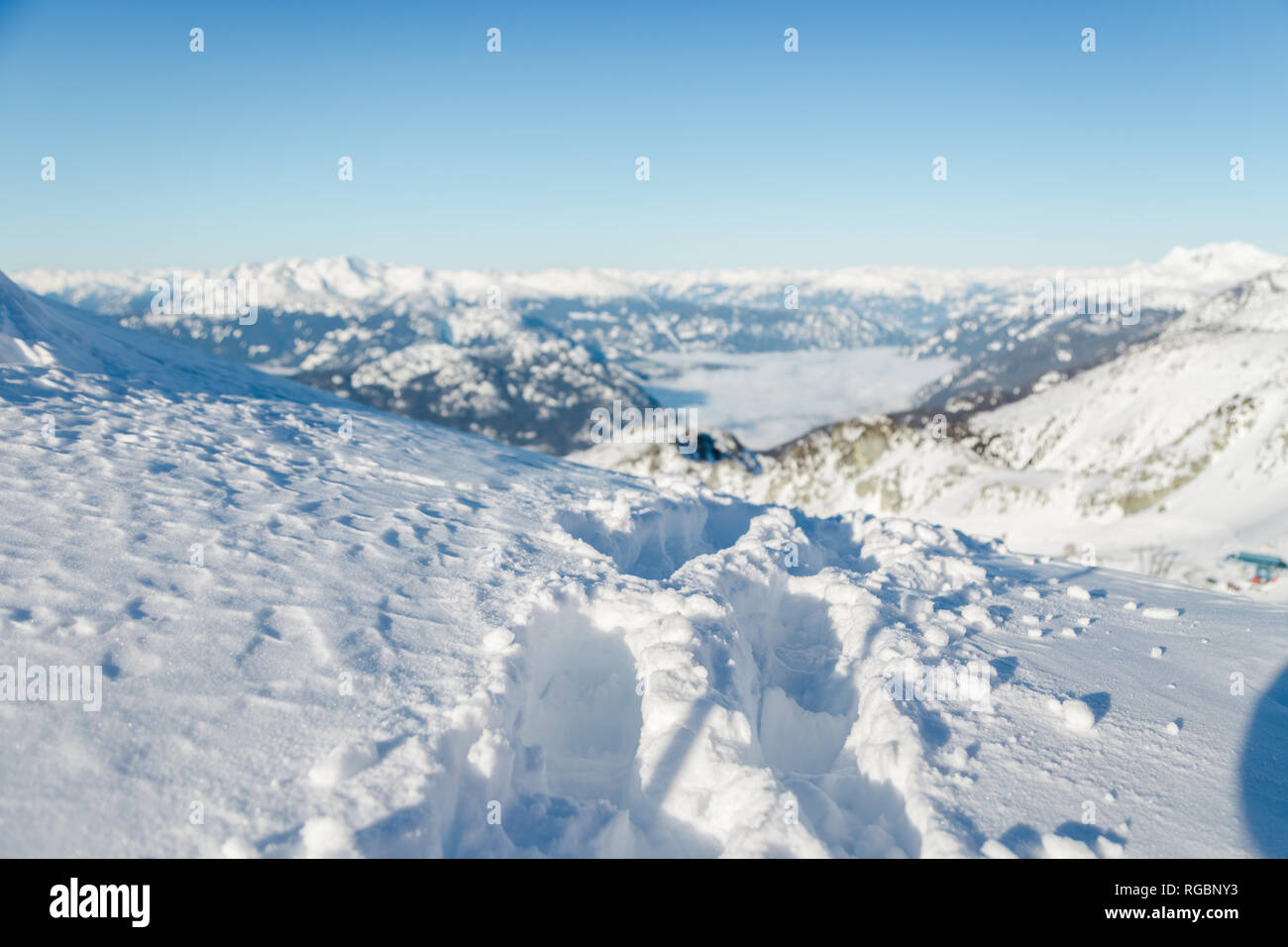 Back barrier hi-res stock photography and images - Alamy