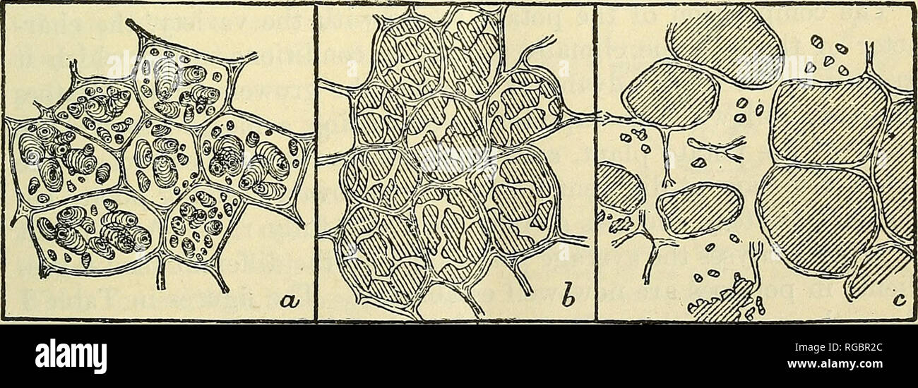 . Bulletin of the U.S. Department of Agriculture. Agriculture ...