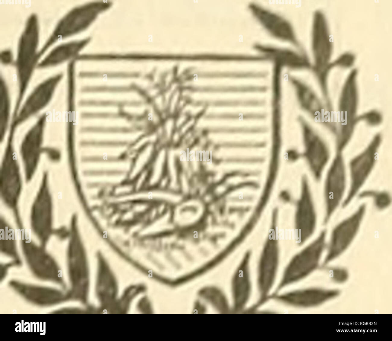 Paul d froehlich hi-res stock photography and images - Alamy