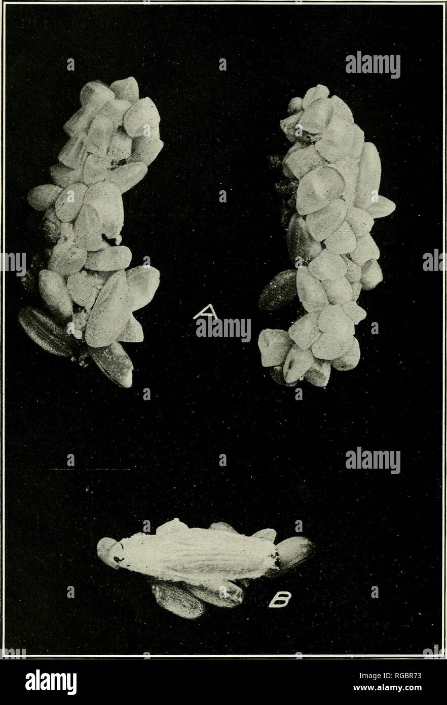. Bulletin of the U.S. Department of Agriculture. Agriculture ...