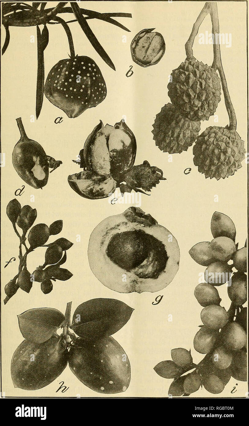 . Bulletin of the U.S. Department of Agriculture. Agriculture ...