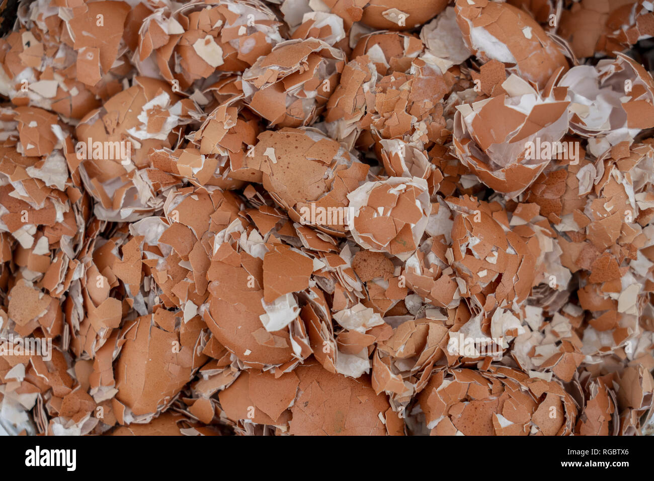 Lots of chipped eggshell, background, texture Stock Photo - Alamy