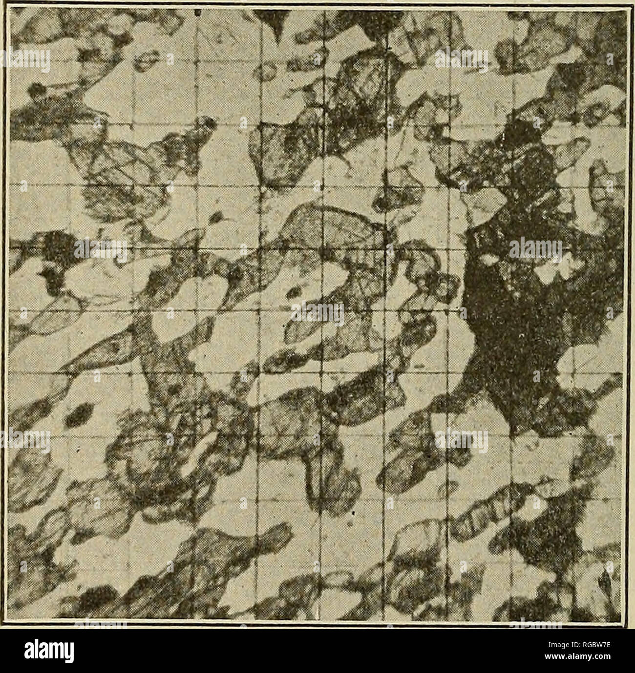 Diorite crystals hi-res stock photography and images - Alamy