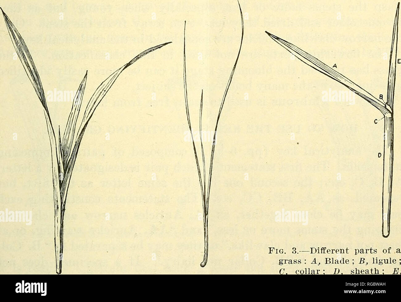 . Bulletin of the U.S. Department of Agriculture. Agriculture ...