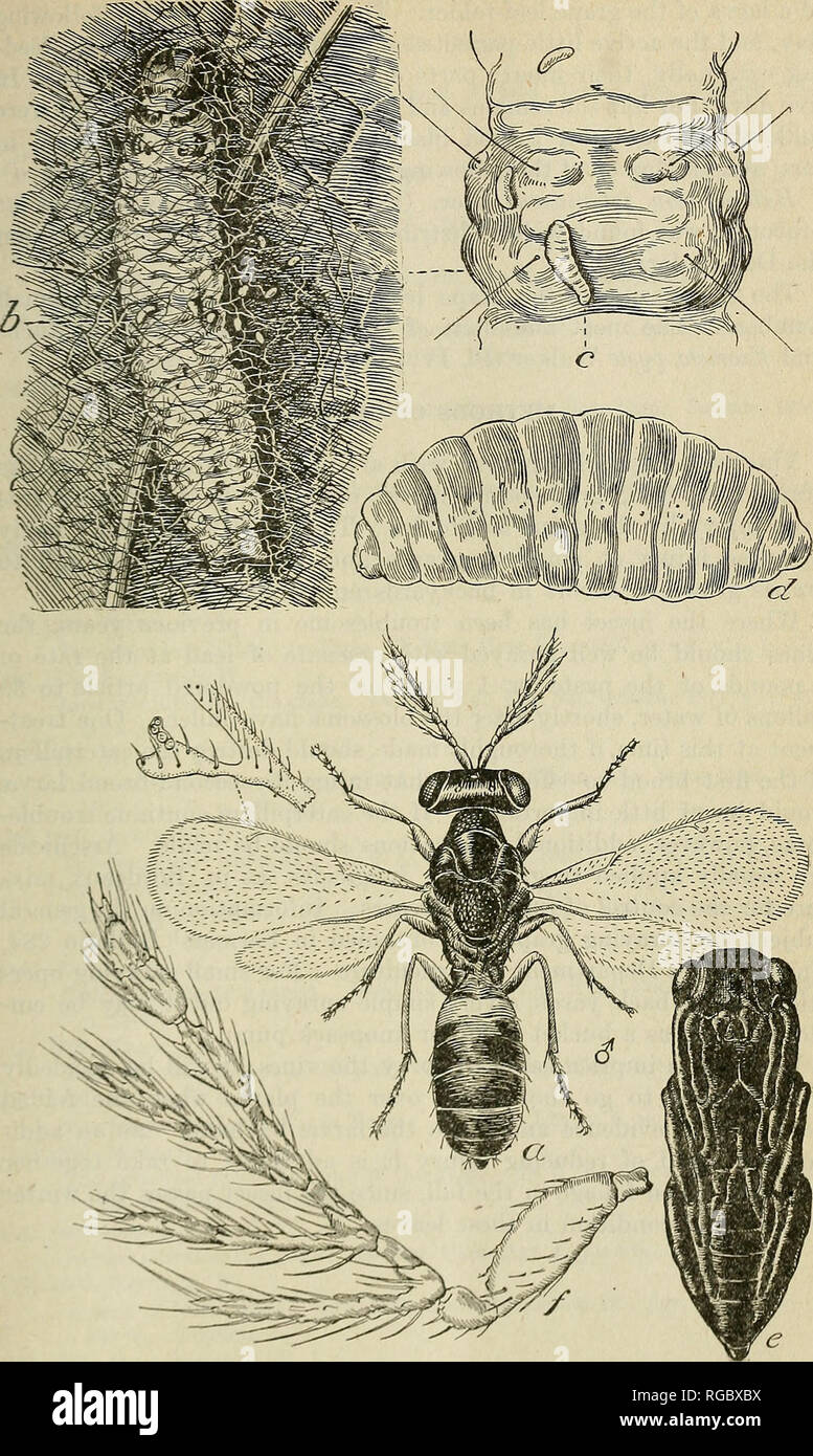 . Bulletin of the U.S. Department of Agriculture. Agriculture ...