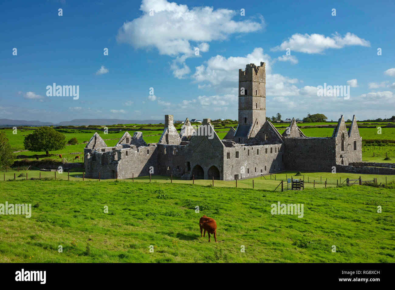 15th century franciscan abbey hi-res stock photography and images - Alamy