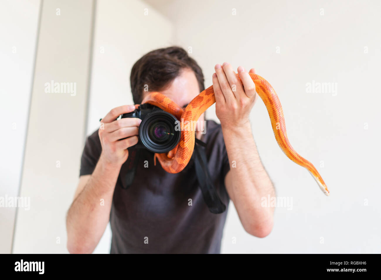 Snake slithering hi-res stock photography and images - Alamy