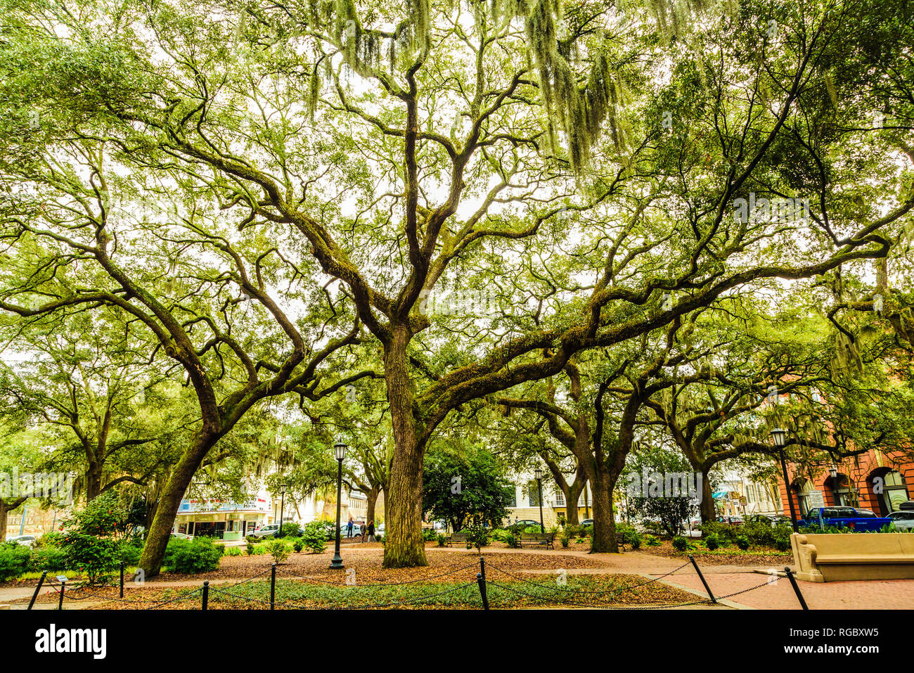 SAVANNAH, GEORGIA - January 8, 2016: Savannah is the oldest city in ...