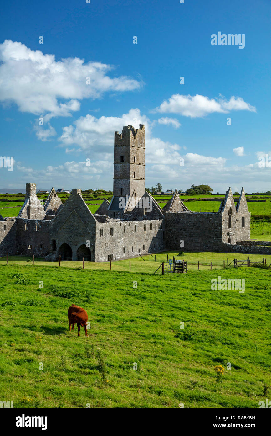 Building a church medieval hi-res stock photography and images - Alamy