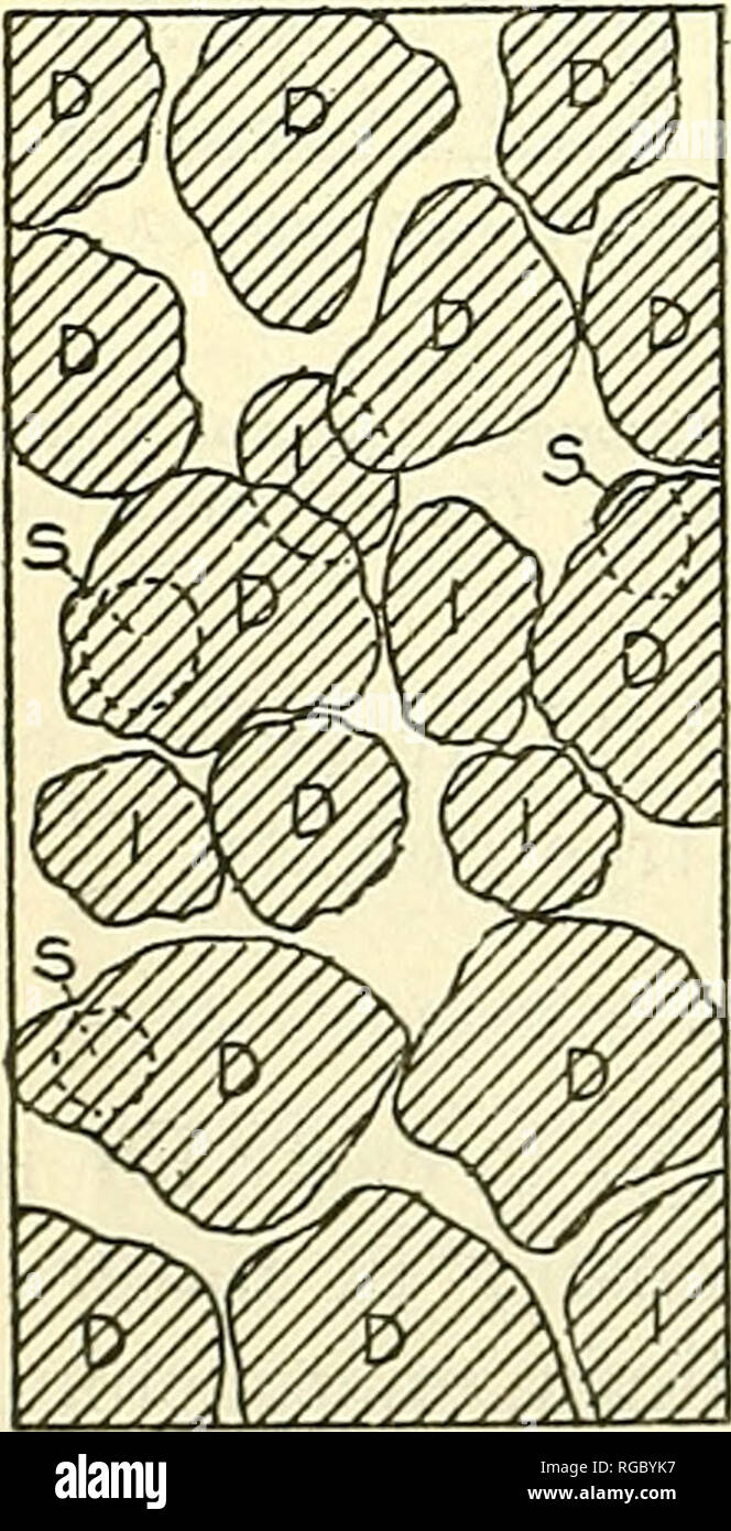 . Bulletin of the U.S. Department of Agriculture. Agriculture ...