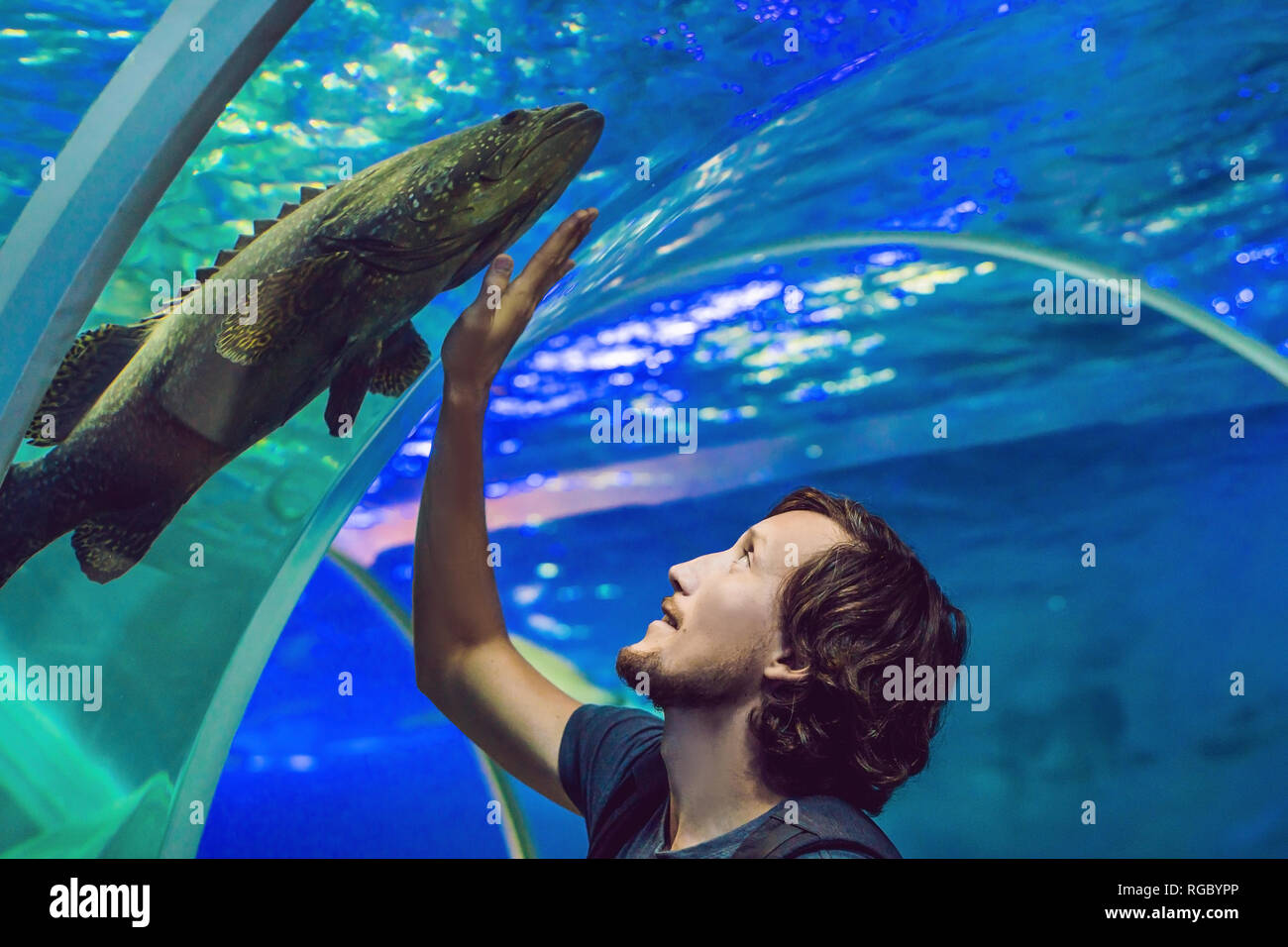 Aquarium south africa (boy or girl) hi-res stock photography and images ...