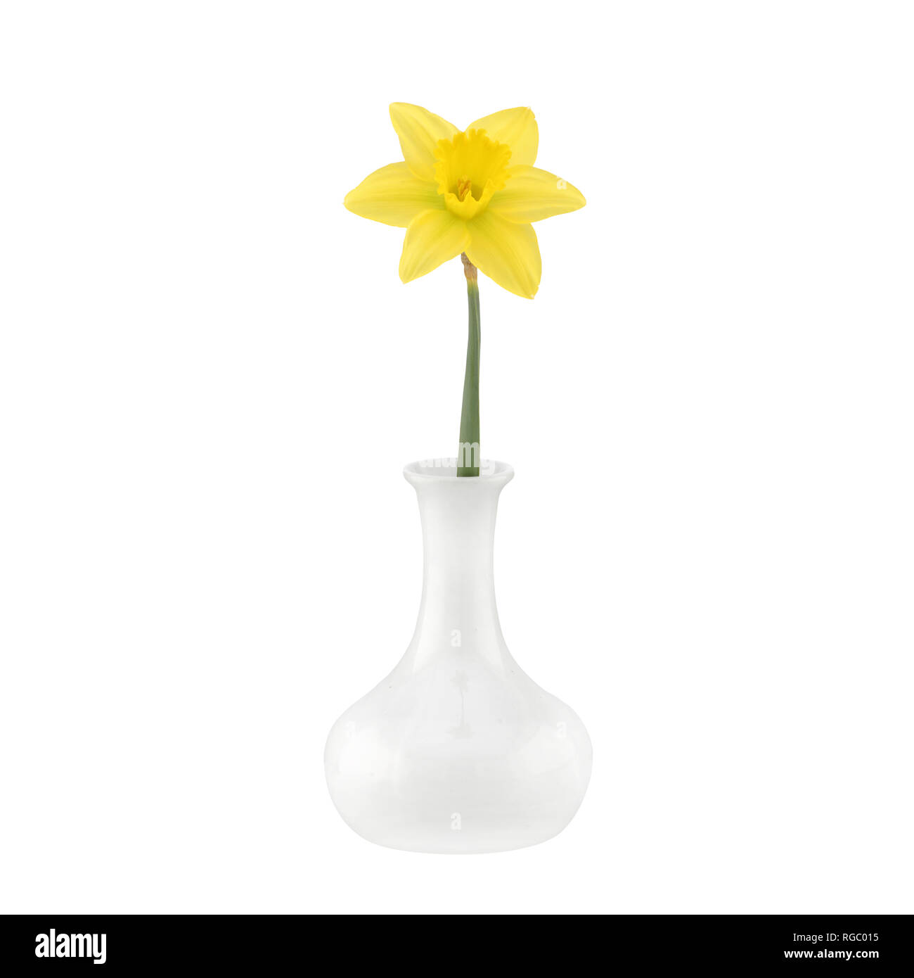 Daffodils In Vase