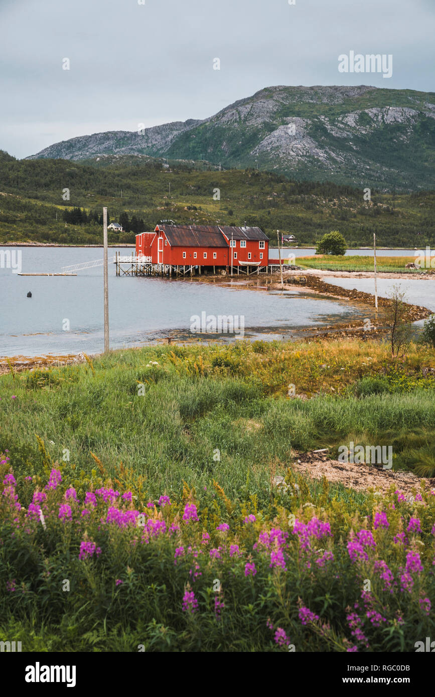 Northern Norway, Lapland, Red wood house at a fjord Stock Photo - Alamy