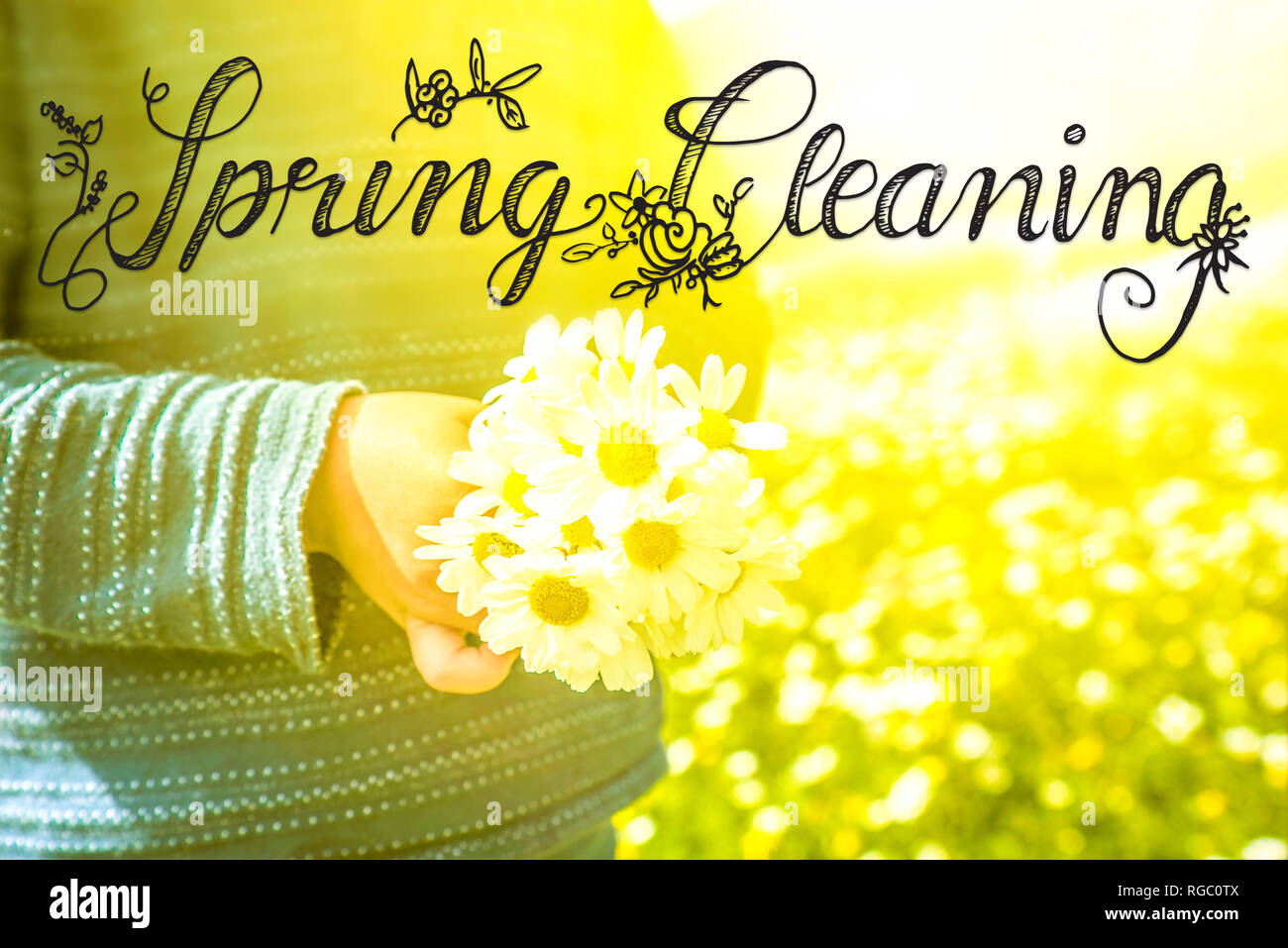 Child, Bouquet Of Daisy Flower, Calligraphy Spring Cleaning Stock Photo ...