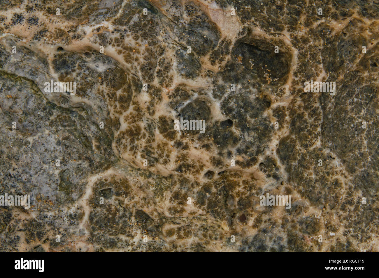 Rock rough surface and shape on the beach Stock Photo - Alamy