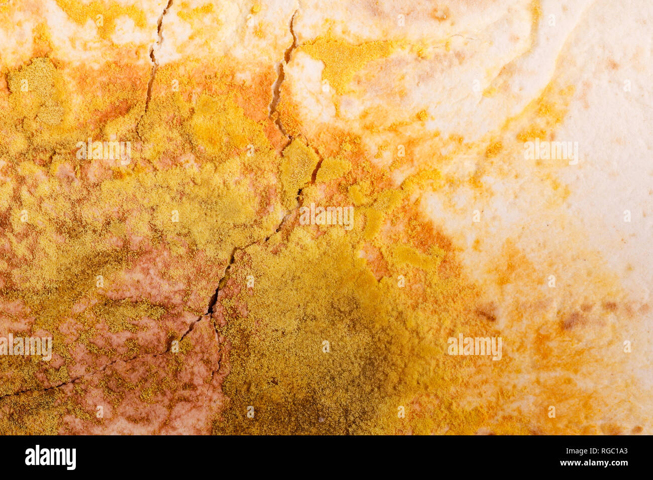 Mouldy growth on flat bread. Rotting food overgrown with mold fungus ...