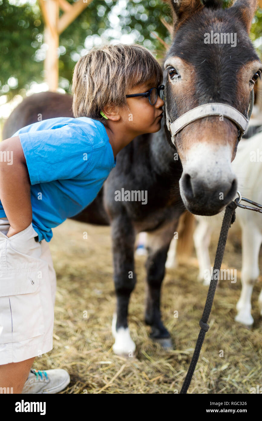 Little boy kissing mule Stock Photo - Alamy