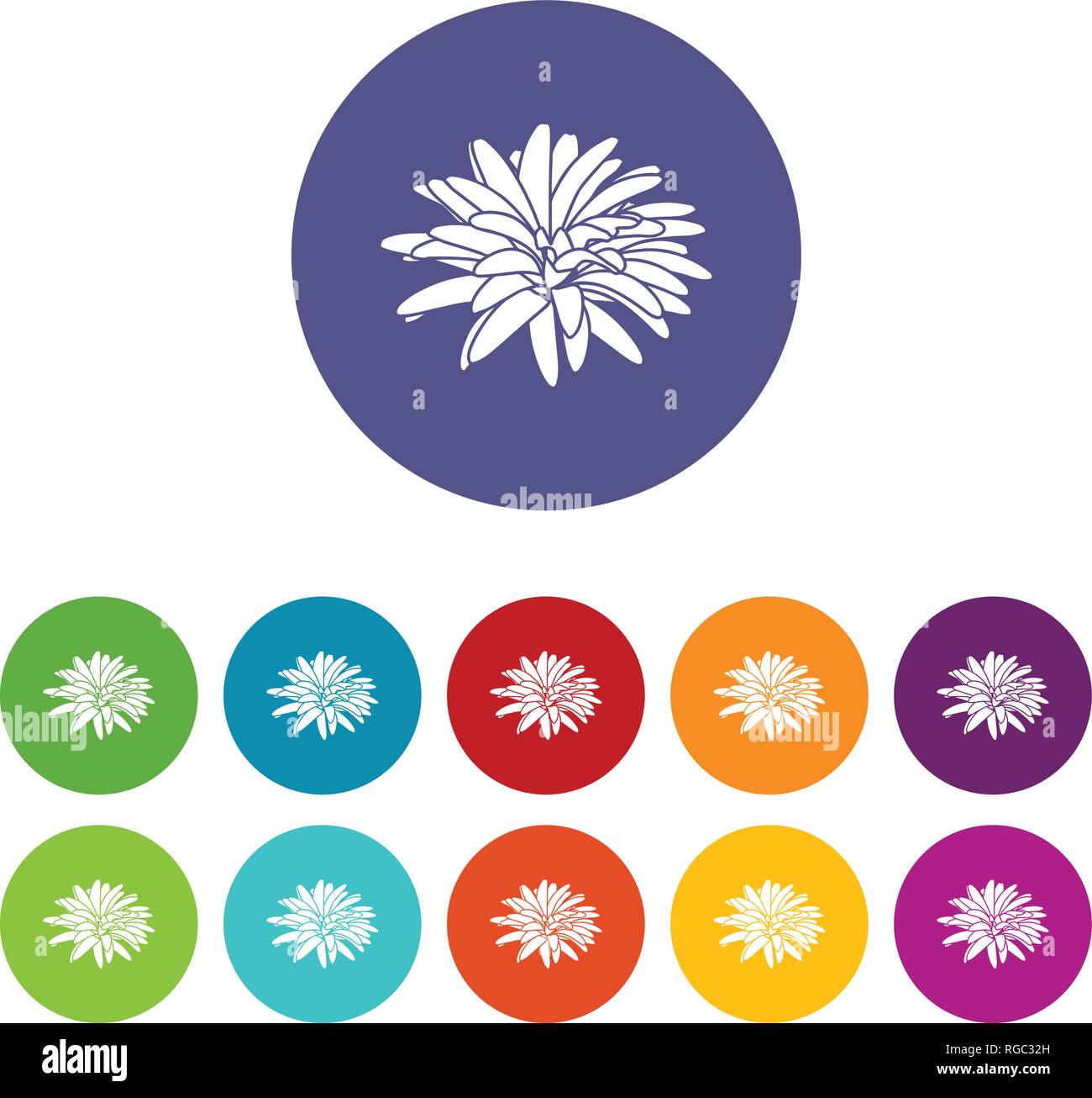 Aster flower icons set vector color Stock Vector Image & Art - Alamy