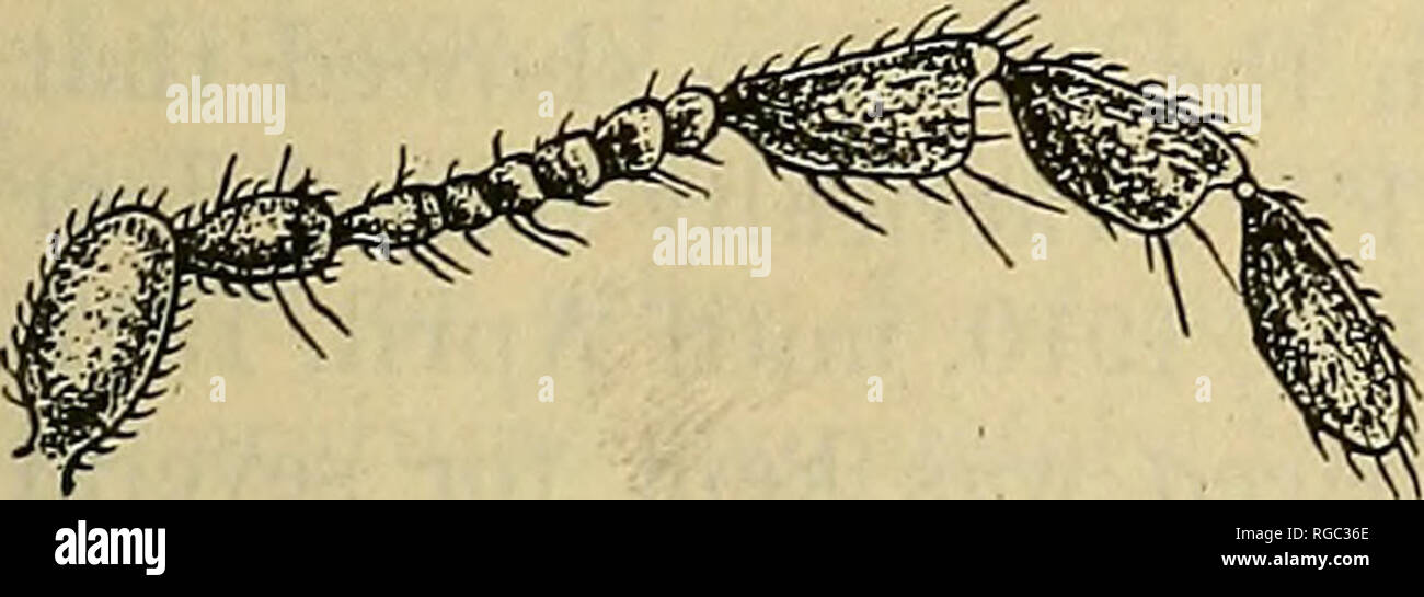 . Bulletin of the U.S. Department of Agriculture. Agriculture ...