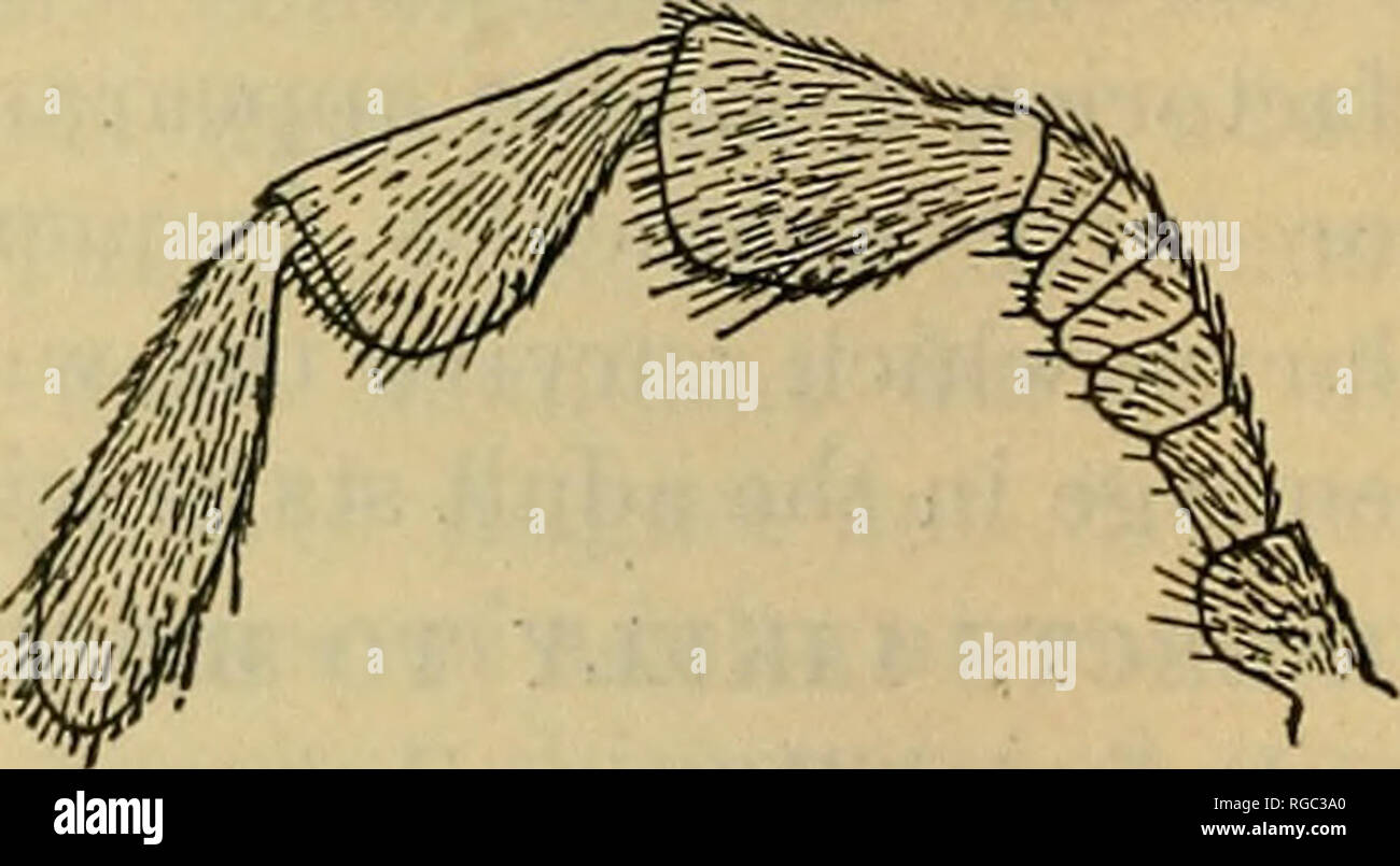 . Bulletin of the U.S. Department of Agriculture. Agriculture ...