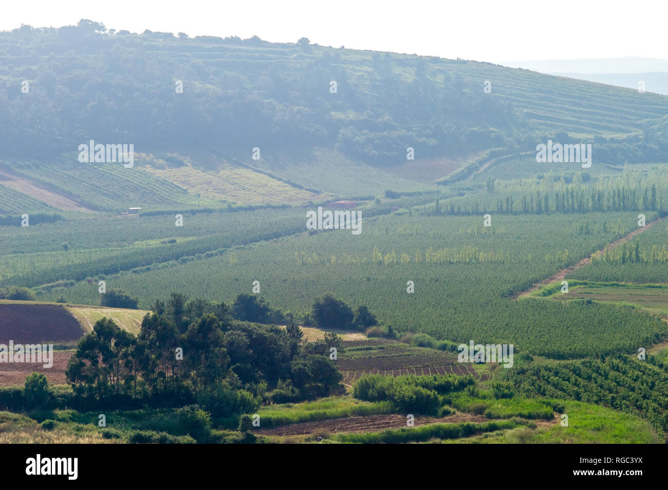 Portugal village rural hi-res stock photography and images - Alamy