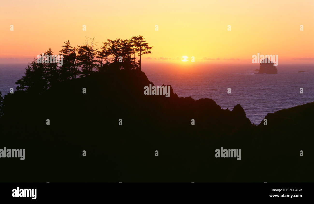 USA, Oregon, Samuel Boardman State Park, Setting sun silhouettes ...