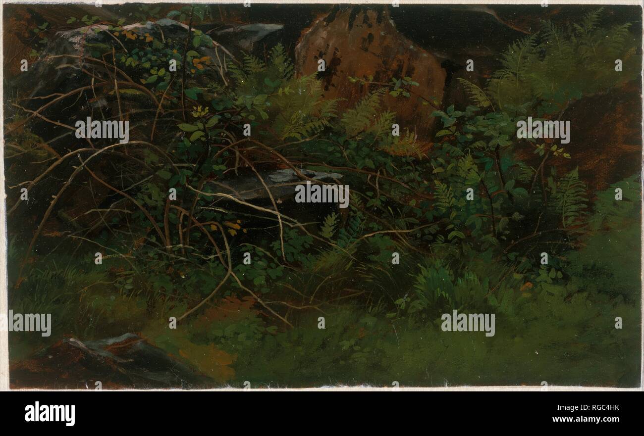 Study from Nature. Artist: William Stanley Haseltine (1835-1900 ...