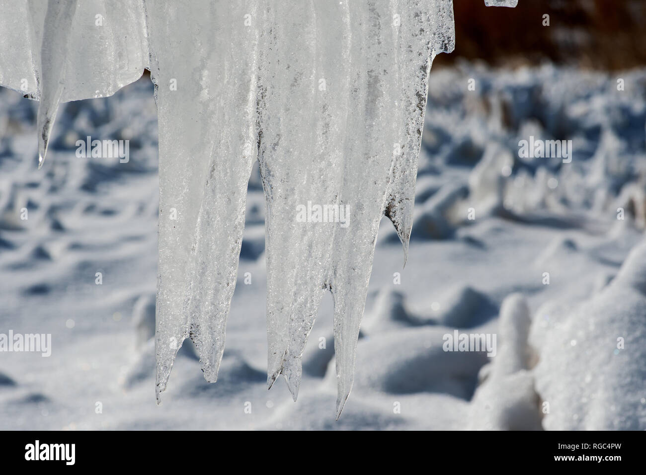 Closeup of icicles covering security fence on a sunny winter day Stock ...