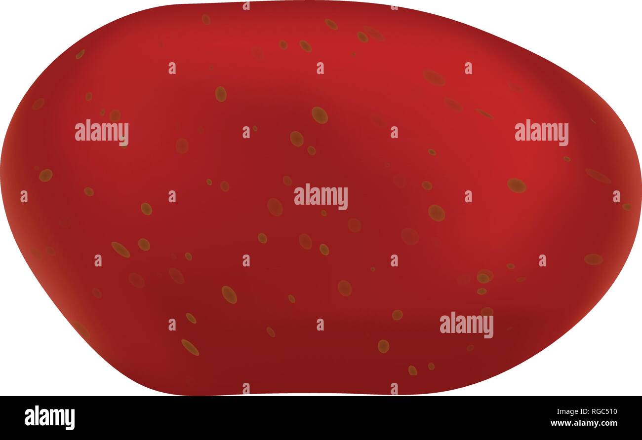 Red potato icon, realistic style Stock Vector Image & Art - Alamy